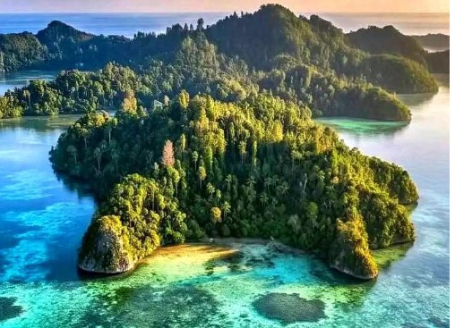 Fakta Unik dari Pulau Papua yang Menakjubkan