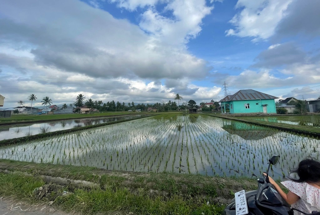 Program Cetak Sawah Ditargetkan Mulai Ditanam September 2025