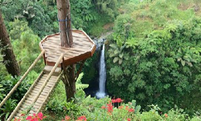 Eksplorasi Keindahan Alam! Berikut 5 Fakta Air Terjun Kedung Kayang ...