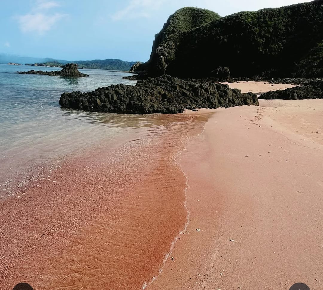 Pink Beach, Pantai Unik Surga Tersembunyi di NTT