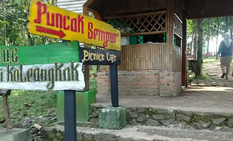 Destinasi Healing dan Spot Foto Instagramable! Berikut 4 Fakta Wisata ...